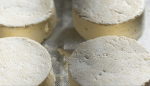 Toddler Formula & Nutritional Milk | PediaGROW