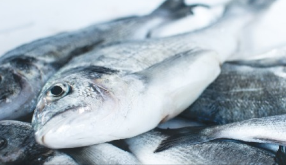 Toddler Formula & Nutritional Milk | PediaGROW