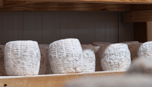 Toddler Formula & Nutritional Milk | PediaGROW